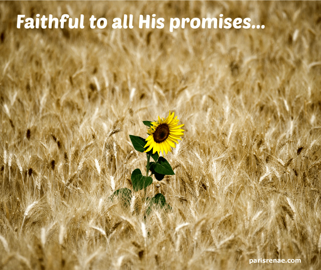 Promises, Promises… – parisrenae