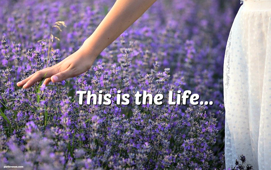 This is the Life… – parisrenae