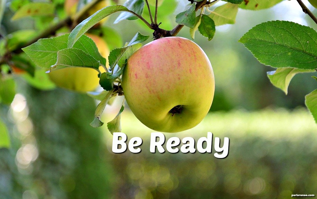 Be Ready… – parisrenae